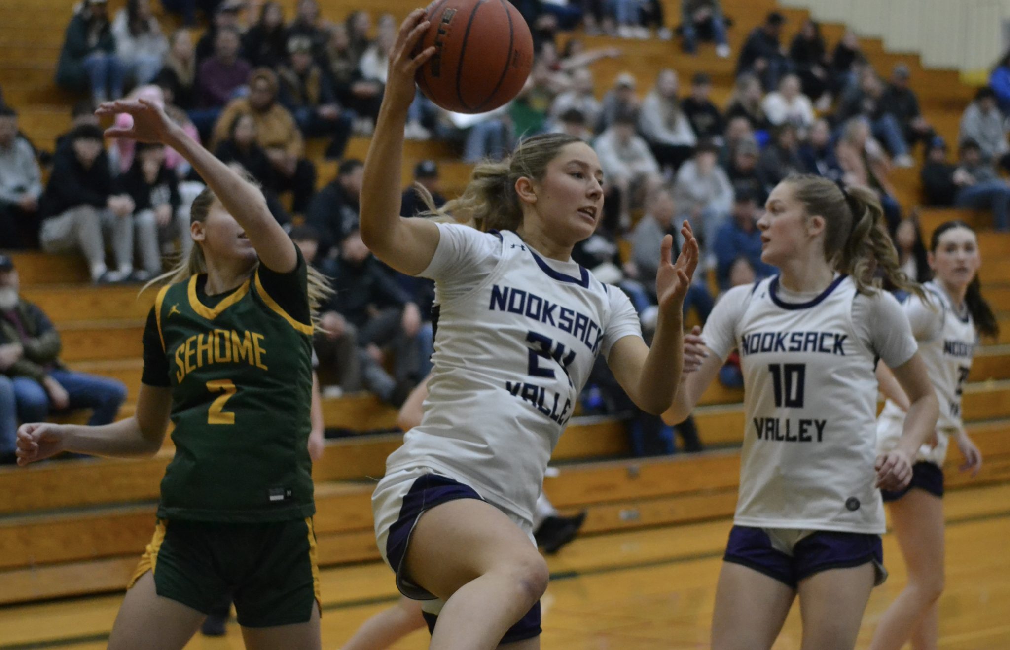 Whatcom County All-Stars Garner More Honors – Whatcom Hoops